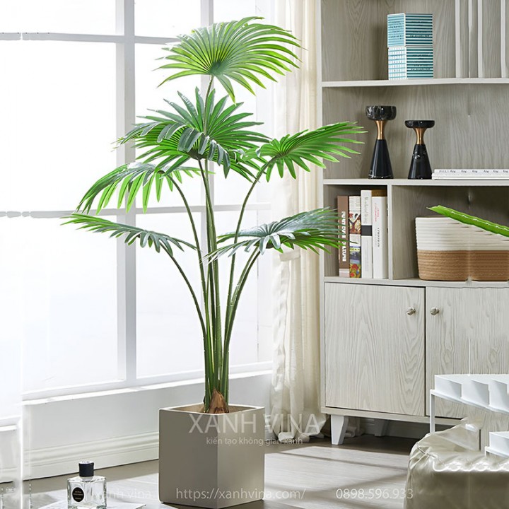 Cây Cọ Xẻ Giả